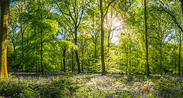 Departments, Divisions, Schools Wellness Programming - Continuing ...